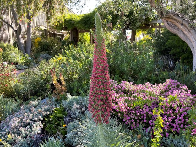 Mediterranean Climates Garden Plant List – Sherman Library and Gardens