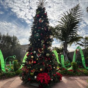 Home Page - Sherman Library and Gardens